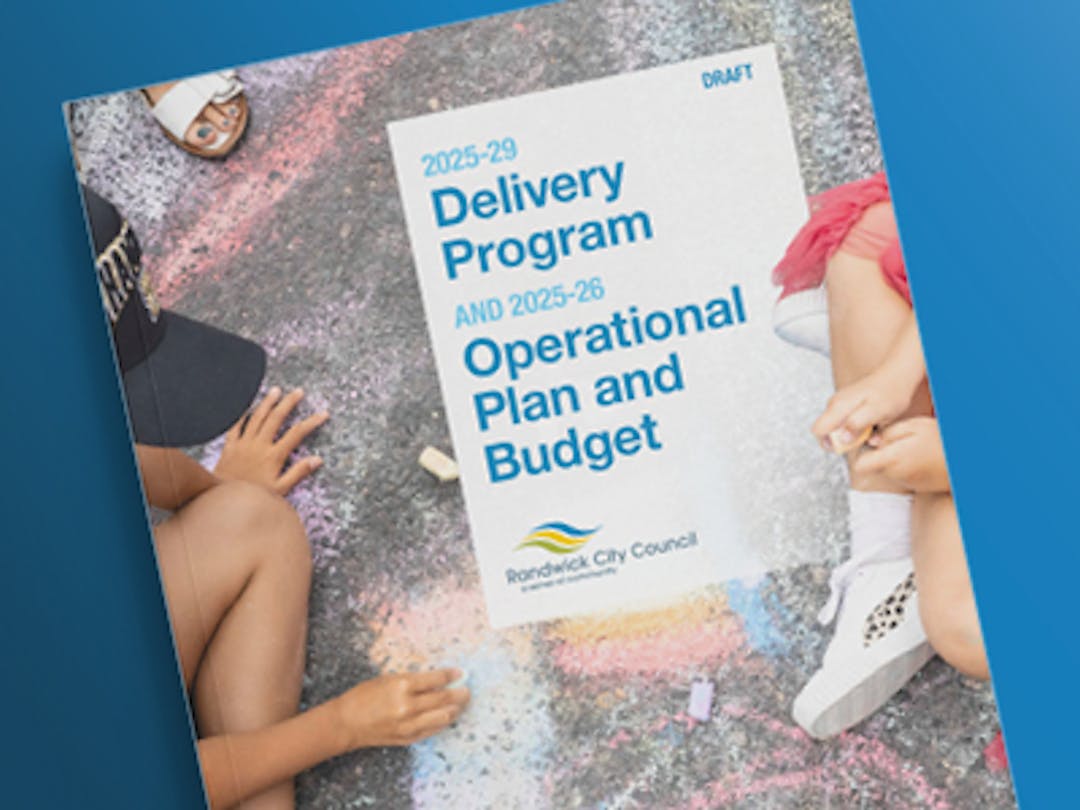 Draft 2025-29 Delivery Program and 2025-26 Operational Plan and Budget ...